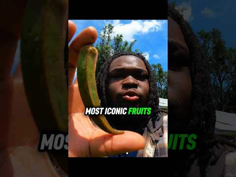 How This Fruit Crossed The Atlantic 🌊 – Ashbgame