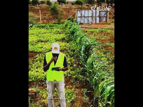 CGAP's Approach: Inclusive Finance & Food Security