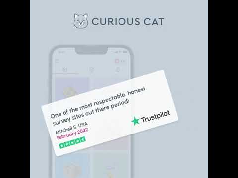 Curious Cat: Money for Surveys