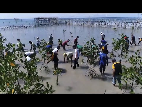 DA-BFAR's 58th Fish Conservation Week