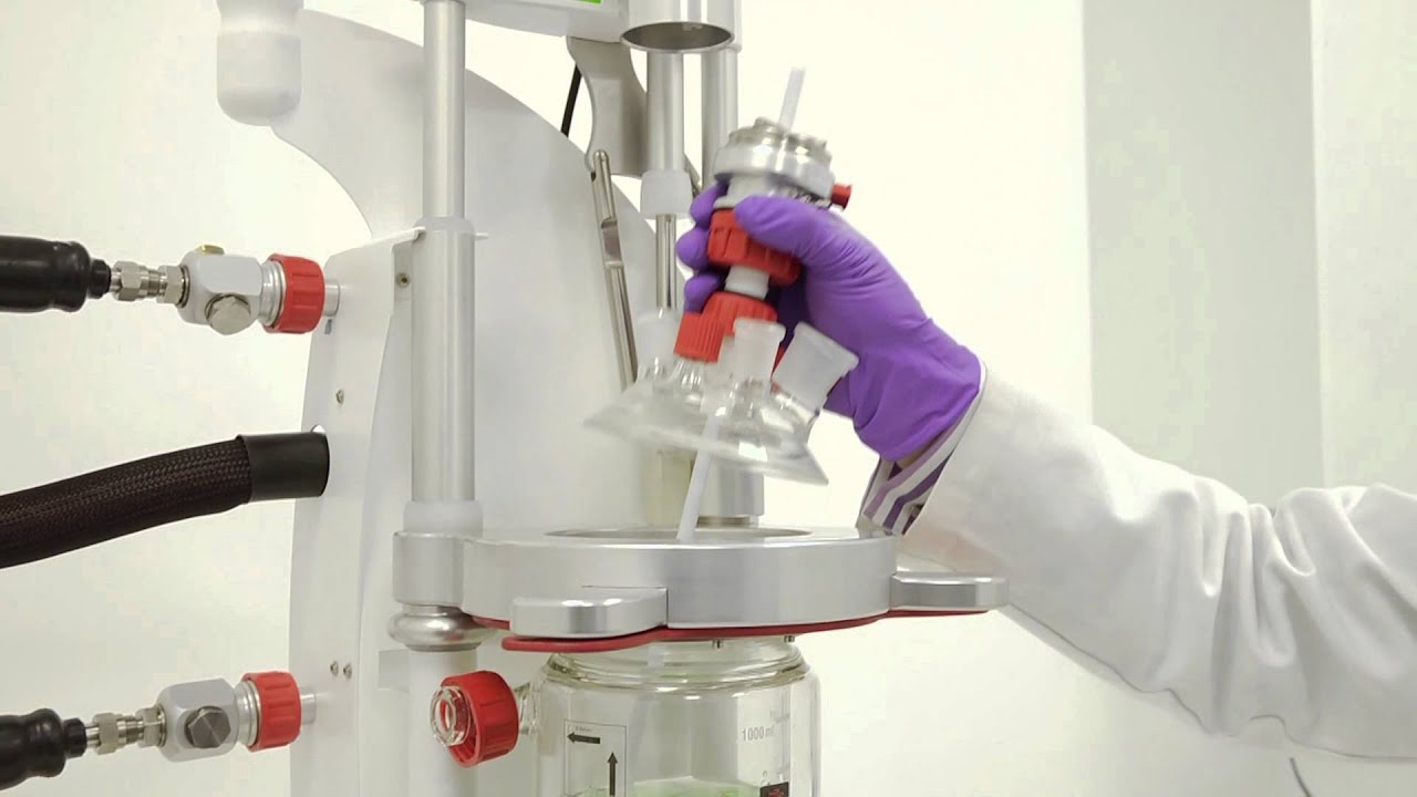 Globe Jacketed Reactor in Detail