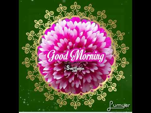 Good Morning Gif