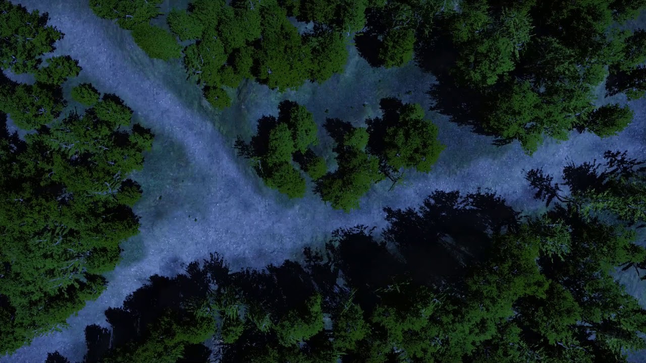 Animated Battlemap - Forest Path 1 (Night) - No Grid