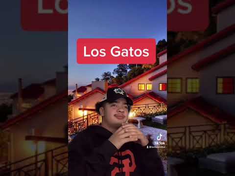 408(San Jose, Mountain View, Santa Clara) California Tik Tok @belikebrother
