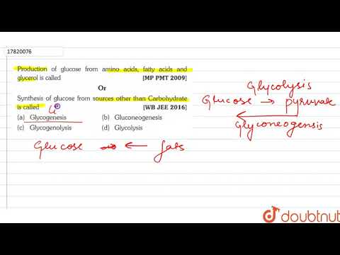 production of glucose from amino acids , fatty acids and glycerol is called systhesis