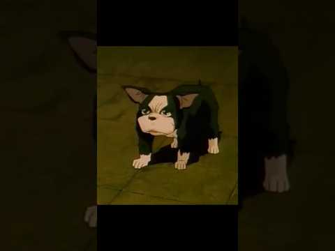 Iggys death scene Voice Over💔😢 #jjba #iggydog #iggy #fyp