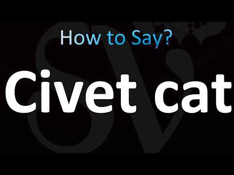 How to Pronounce Civet cat (CORRECTLY!)