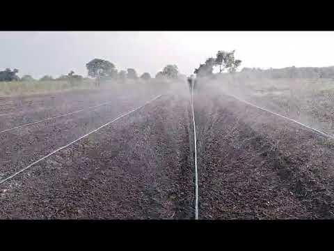 Finolex Agricultural Pipes - Latest Price, Dealers & Retailers in India