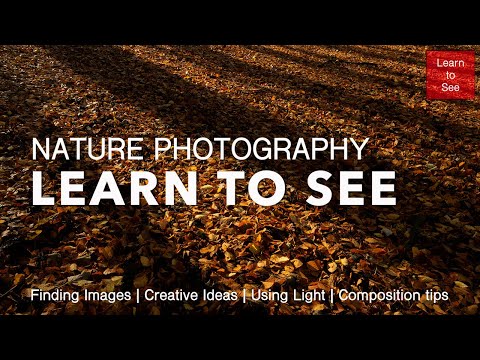 Nature Photography | Learning to See with Nature