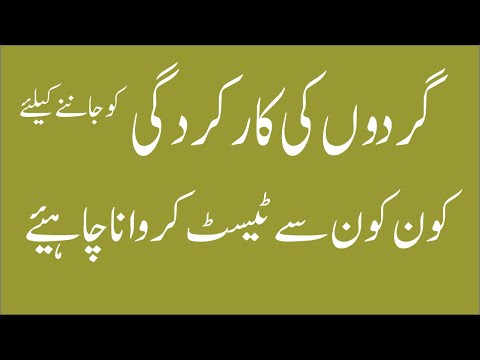 Kidney Function Tests | Gurday k test | Nephrologist