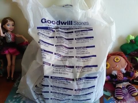 Newest Goodwill Thrift Store Toy & Book Shopping Haul!