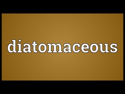 Diatomaceous Meaning