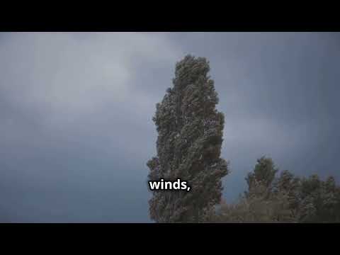 Understanding the UK's Climate Zones And Weather Pattern || UK ||