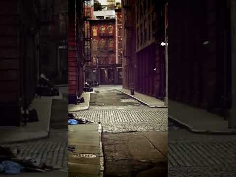 Old Bronx and New York photos history
