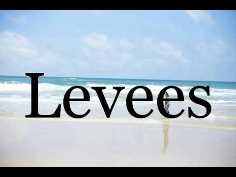 How To Pronounce Levees🌈🌈🌈🌈🌈🌈Pronunciation Of Levees