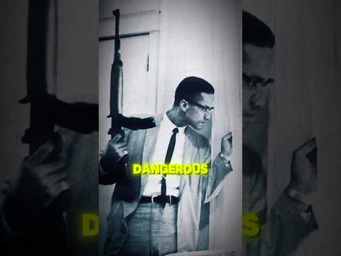 The Truth About Malcom X And MLK