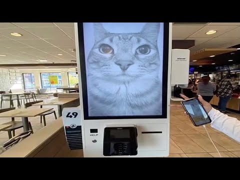 Steam Community :: Video :: Test_Video.mp4