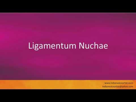 Pronunciation of the word(s) "Ligamentum Nuchae".
