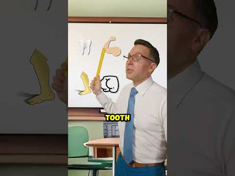 Can Schools Legally Force You To Stay in Class?