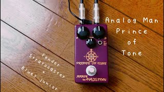 Analog Man Prince of Tone - What To Know & Where To Buy | Equipboard