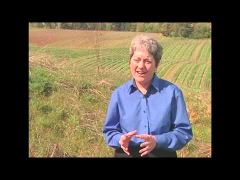 SUSAN SOKOL BLOSSER – Oregon Wine History Archive