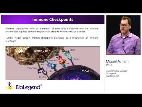Fighting Cancer from Multiple Angles: Exploring RANK-RANKL, and PD-L1 in mouse melanoma models.