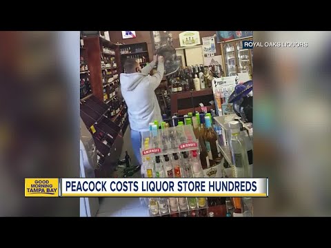 Peacock takes out $500 in wine after crashing liquor store