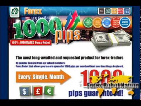 Forex 1000 Pips - The Best Robot Software Binary Option And Iq Option