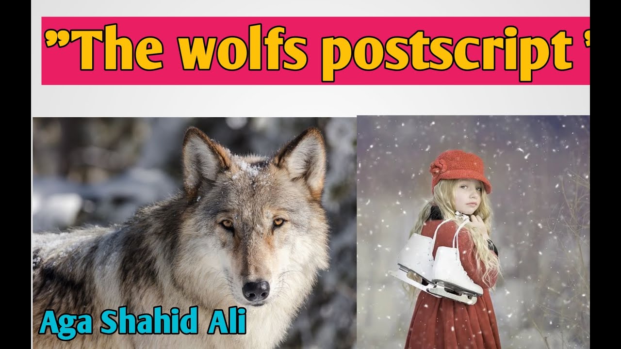 The wolfs postscript to 