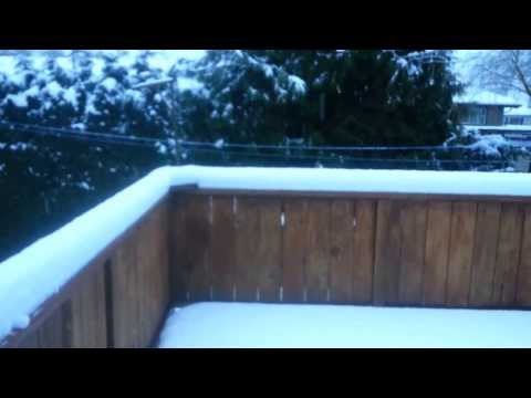 Ladner BC Crazy Snowfall Weather Feb 24 2014 | HandyMan Tips For ...