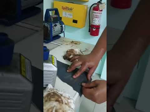 Preventive Maintenance of Vacuum Pump