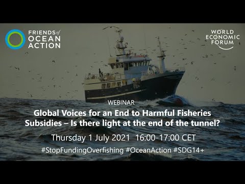 Global Voices on Ending Harmful Fisheries Subsidies: HIGHLIGHTS