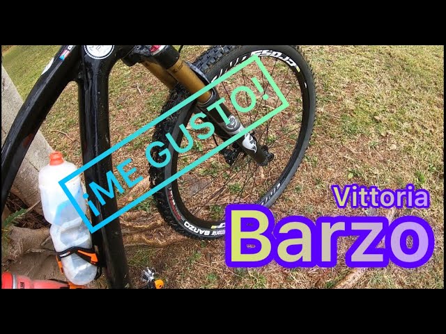 Exploring the First Impressions of Vittoria Barzo Tires | Galaxy.ai ...