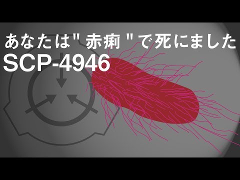 【ゆっくりSCP解説】あなた は "赤痢" で 死にました SCP-4946