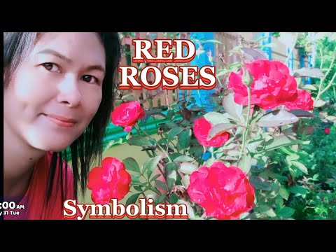 RED ROSES SYMBOLISM #cherryboterph