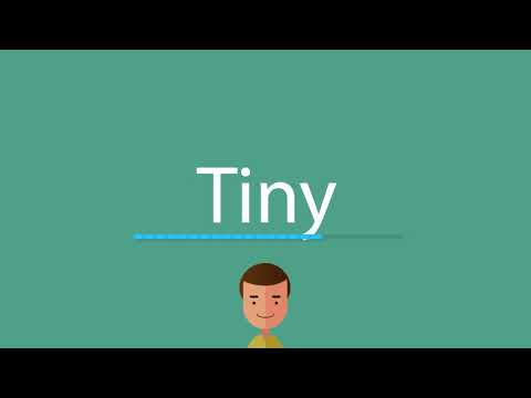 How to pronounce Tiny