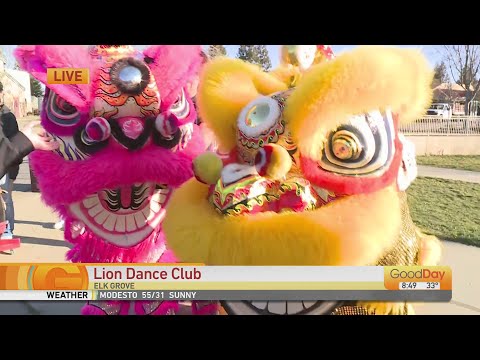 Lion Dance Club at Pleasant Grove High - Elk Grove