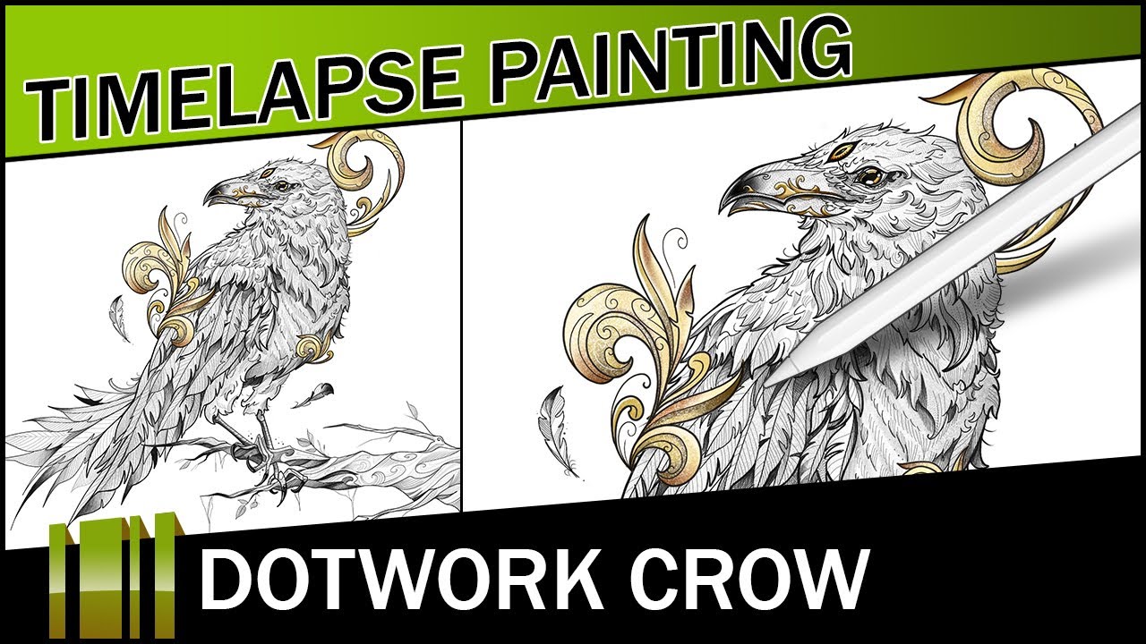 Timelapse Painting Procreate Crow