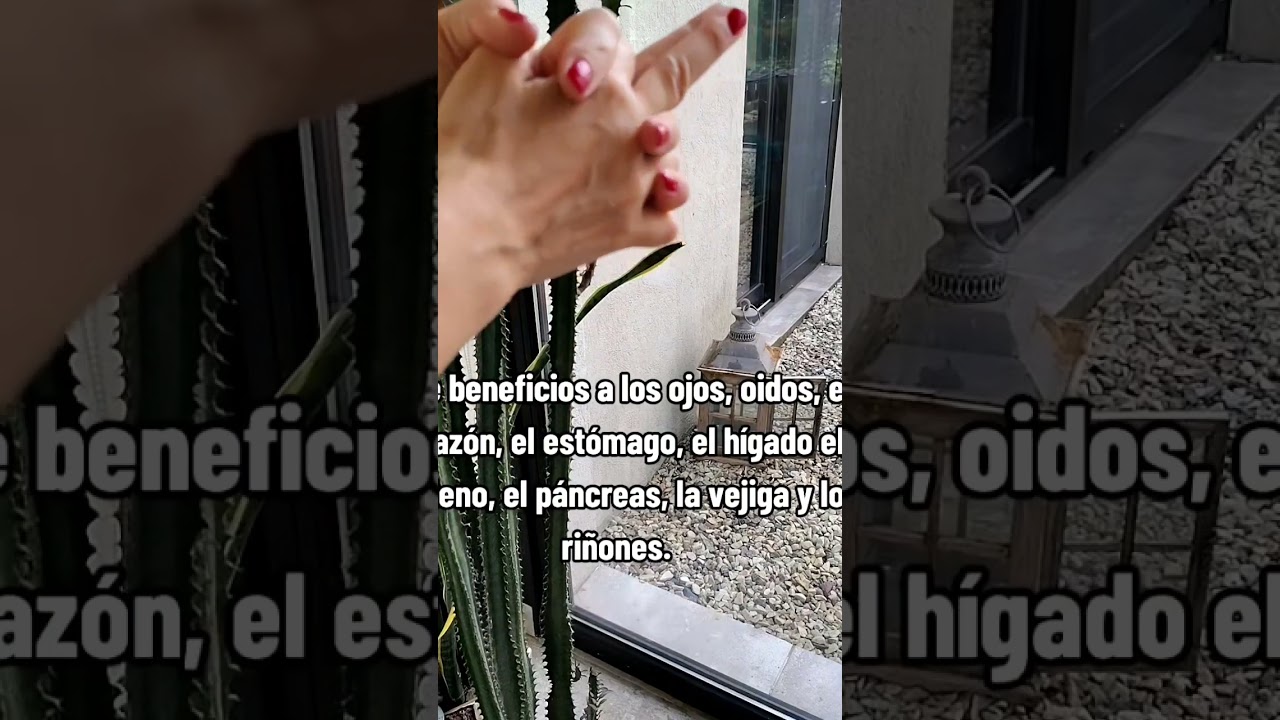 Mudra para la armonía #coach #energia #meditacion #mudras