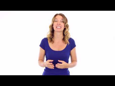 Florida Traffic Law and Substance Abuse Education and Learner License Combo