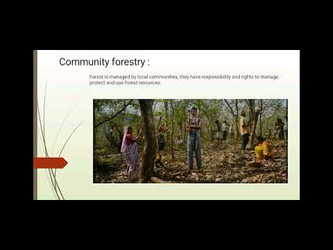 SOCIAL FORESTRY