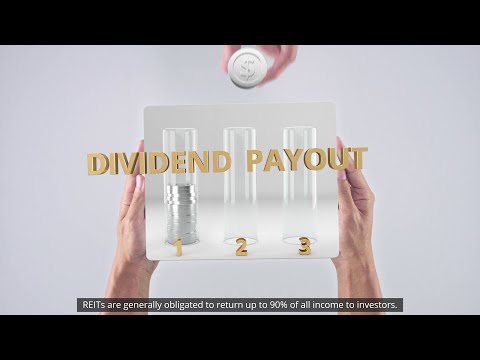 DBS Online Equity Trading – What is a REIT?