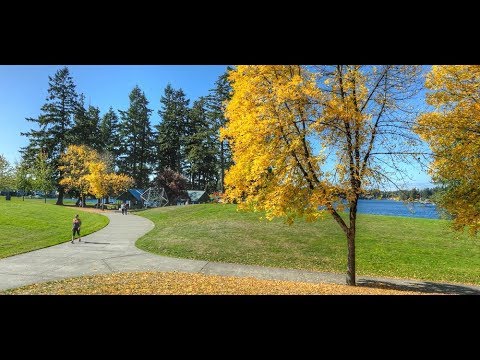 Welcome to the city of Kent, WA!