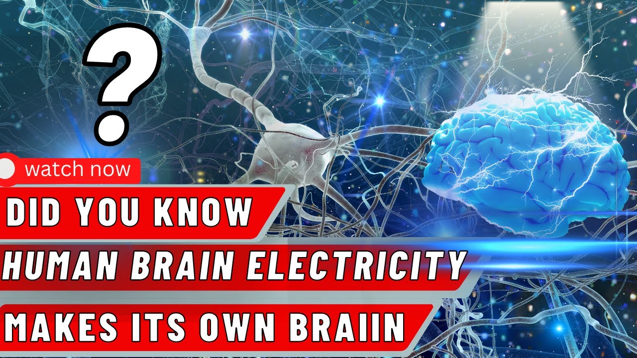Human Brain Produced Enough Electricity To Power A Light Lamp || THE  Brain Create Electricity Wave