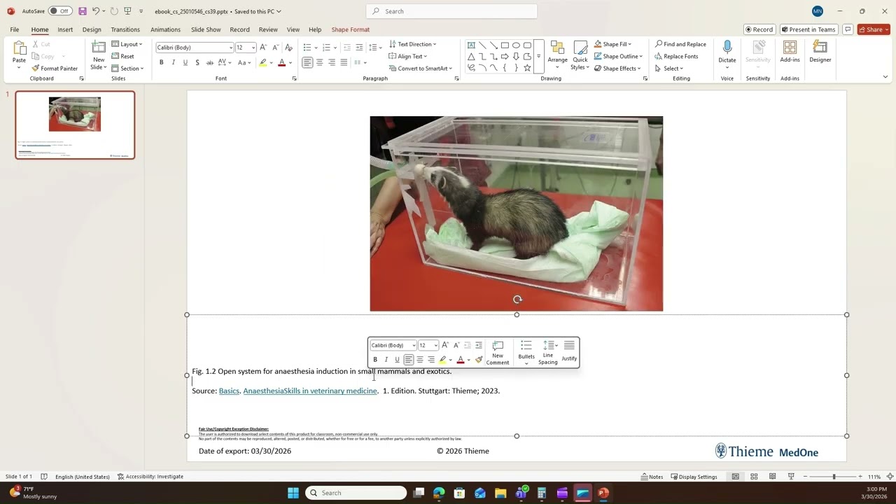 How to Export Images to PowerPoint Slides using MedOne Vet