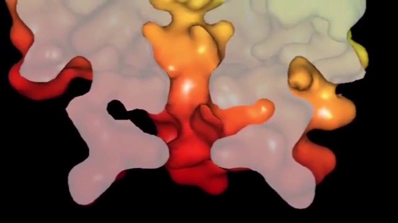 Oleic acid may inhibit pain - UNAM Global