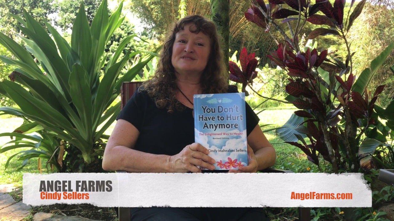 About Cindy's Book 
