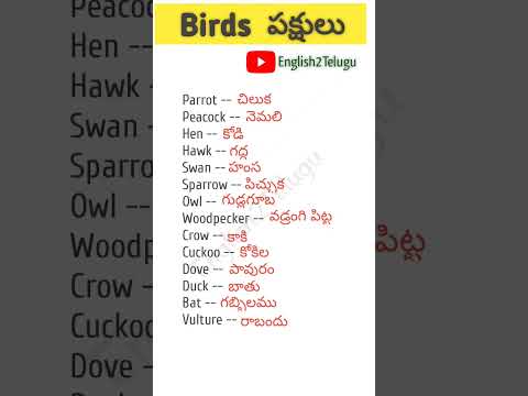 Birds names in Telugu #english2telugu