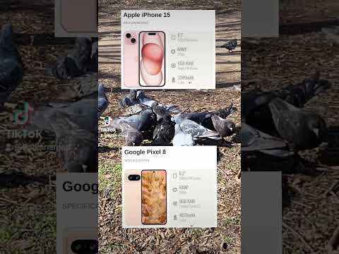 Apple iPhone 15 vs. Google Pixel 8