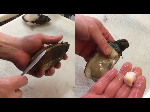 How To Make Clams Sushi & Sashimi
